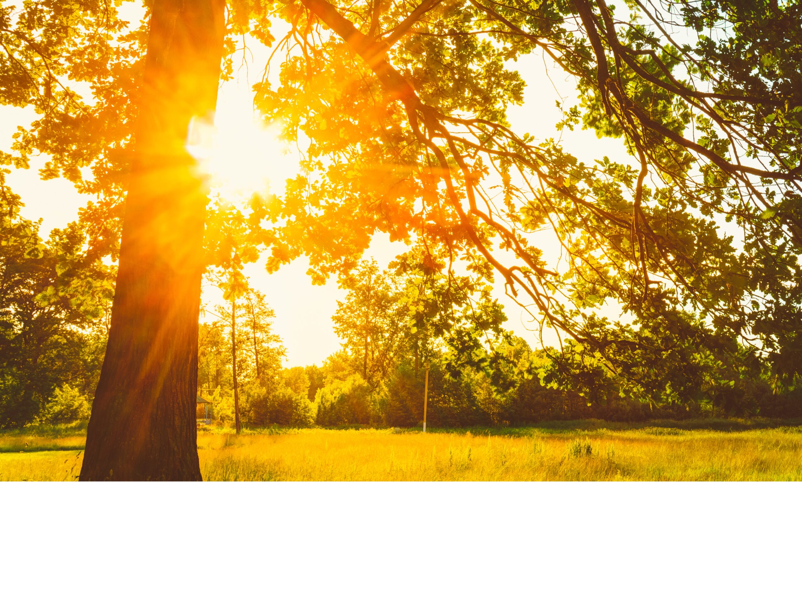 Daybreak - Pine Crest Homes